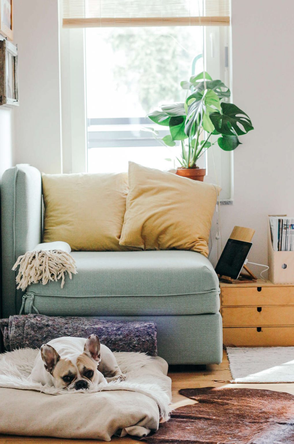 Gallery – PEMFEXY® (pemetrexed injection)